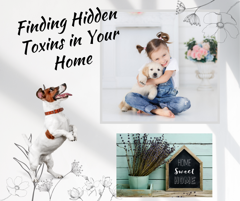 Healthy Living: Reducing Toxins In Your Daily Life ~ Weekend Homesteader